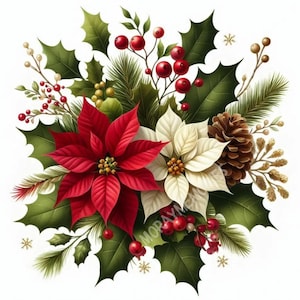 Poinsettia Clipart Bundle | Christmas Flower Watercolor Jpgs Holiday ...