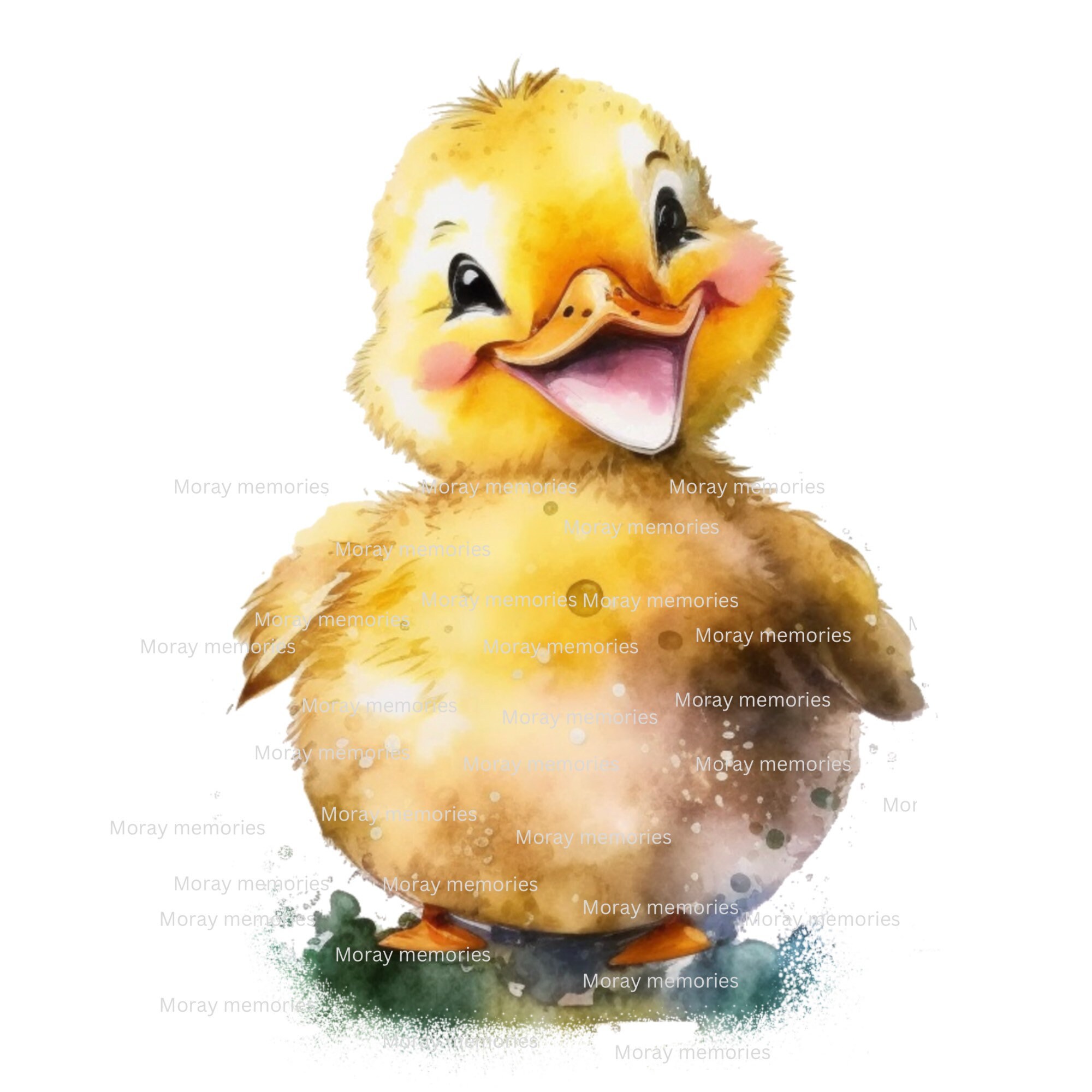 Cute Duck Png Duck Duck Clipart Animal Clipartdigital - Etsy Canada