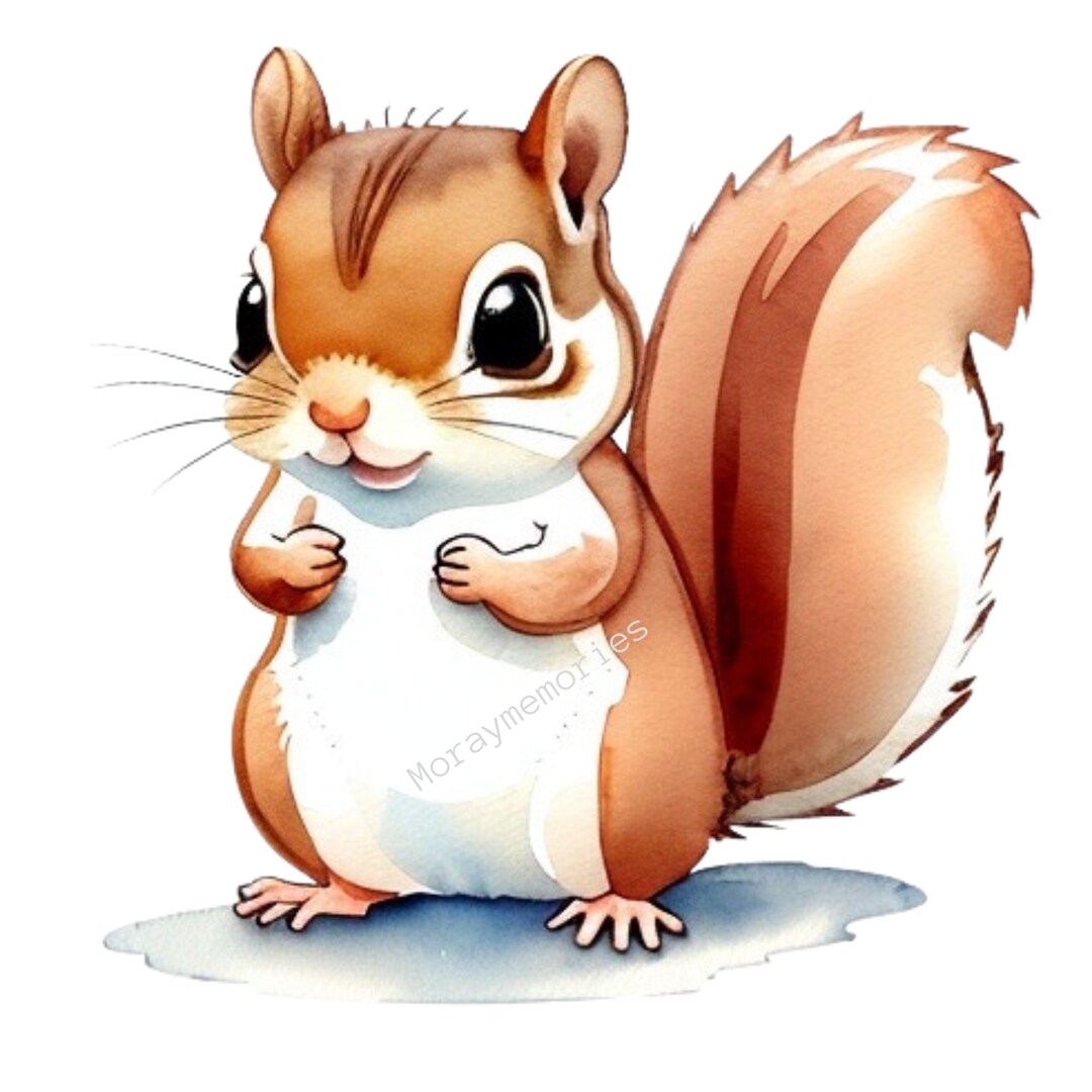 Cute Cartoon Squirrels Clipart 5 High Quality Pngs Digital Etsy