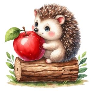 Cute Hedgehog With Apple Clipart, High Quality Pngs, Nursery Art ...