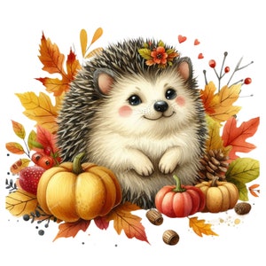 Watercolor Cute Autumn Hedgehogs, PNG Animal Clipart, Fall Hedgehog ...