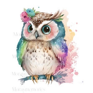 Owl, Bird, Cute Owl Watercolor Clipart Bundle, Owl, Owl Clipart, Owl ...