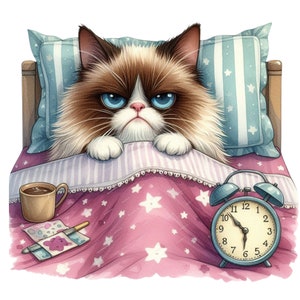 Watercolor Grumpy Bedtime Cat Clipart, PNG Grumpy Animal Clipart, Cat ...