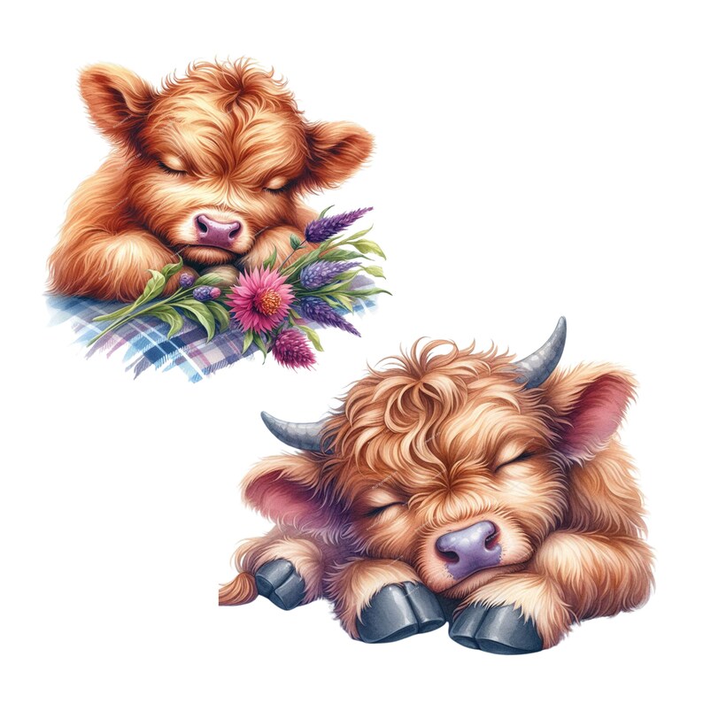 Watercolor Sleeping Baby Highland Cow Clipart, 12 PNG Cute Cow Clipart ...