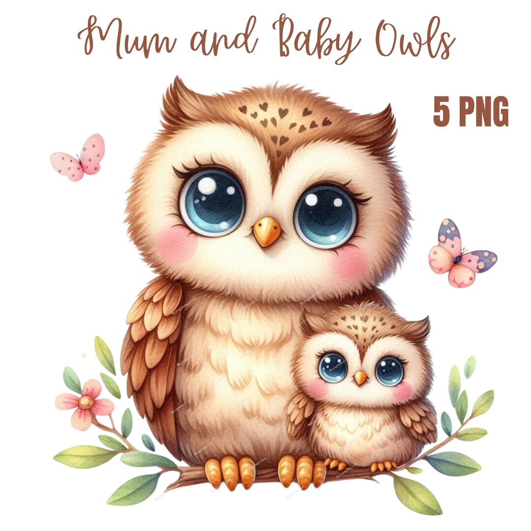 Cute Owl and Baby Owl Clipart, High Quality Pngs, Nursery Art, Digital ...