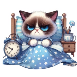 Watercolor Grumpy Bedtime Cat Clipart, PNG Grumpy Animal Clipart, Cat ...