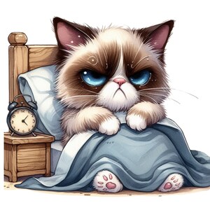 Watercolor Grumpy Bedtime Cat Clipart, PNG Grumpy Animal Clipart, Cat ...