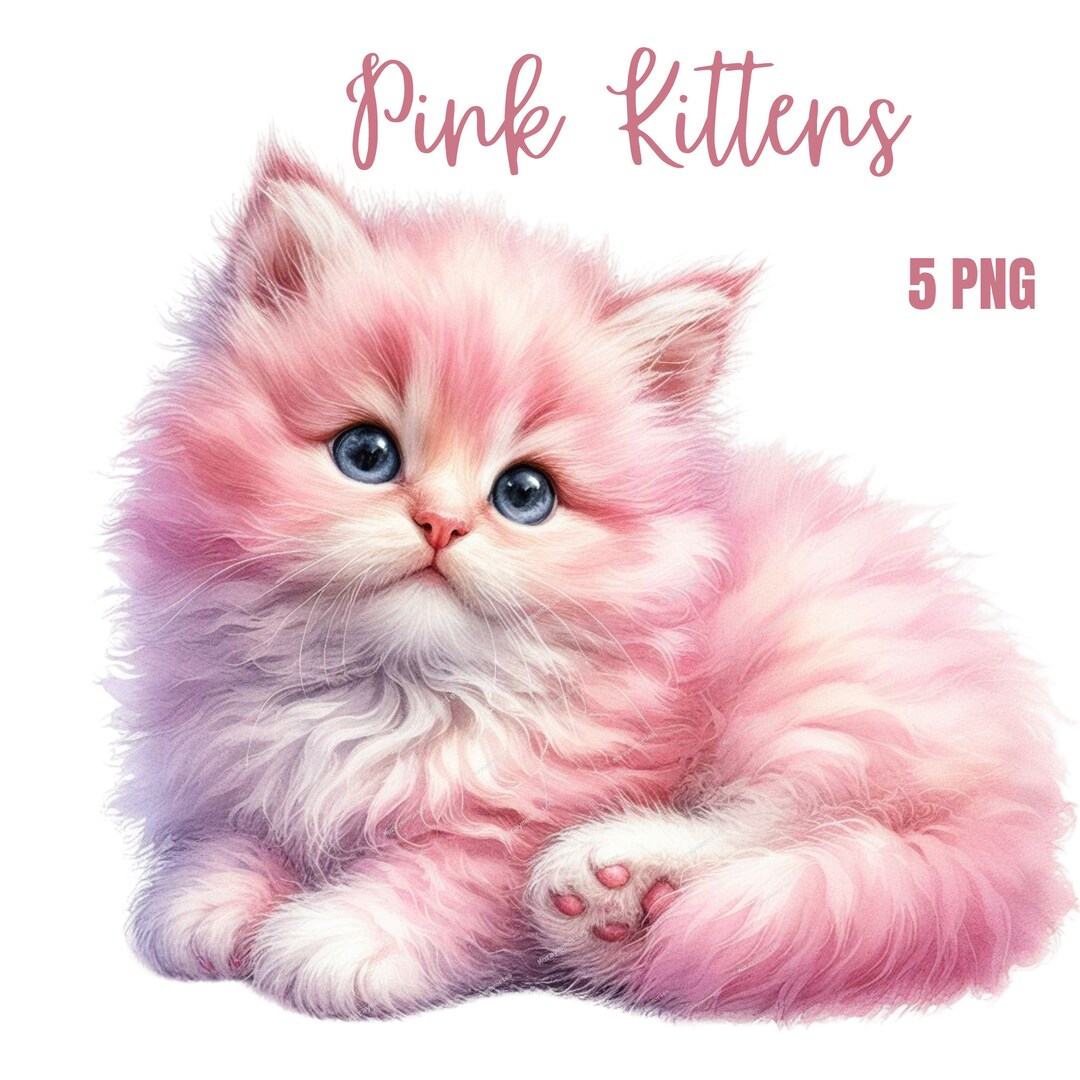 Cute Pink Kitten Clipart Adorable Pink Kitten Clipart Bundle High ...