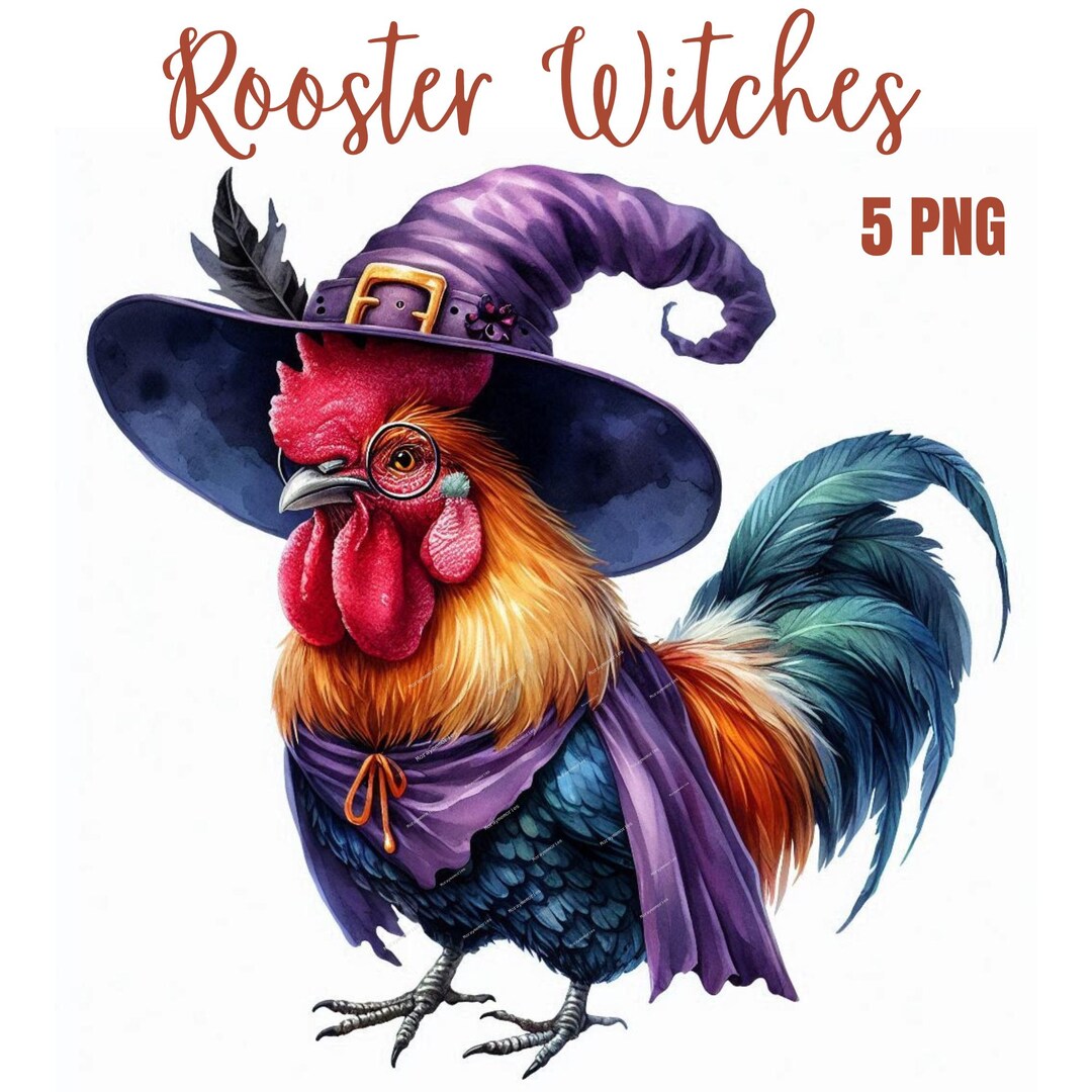 Halloween Rooster Witch Png,fall Witch, Halloween Sublimation Digital ...