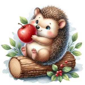 Cute Hedgehog With Apple Clipart, High Quality Pngs, Nursery Art ...