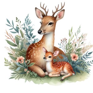 Watercolor Deer Clipart, Nursery Decor, Deer PNG, Watercolor Animals ...