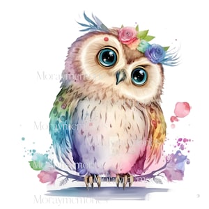 Owl, Bird, Cute Owl Watercolor Clipart Bundle, Owl, Owl Clipart, Owl ...