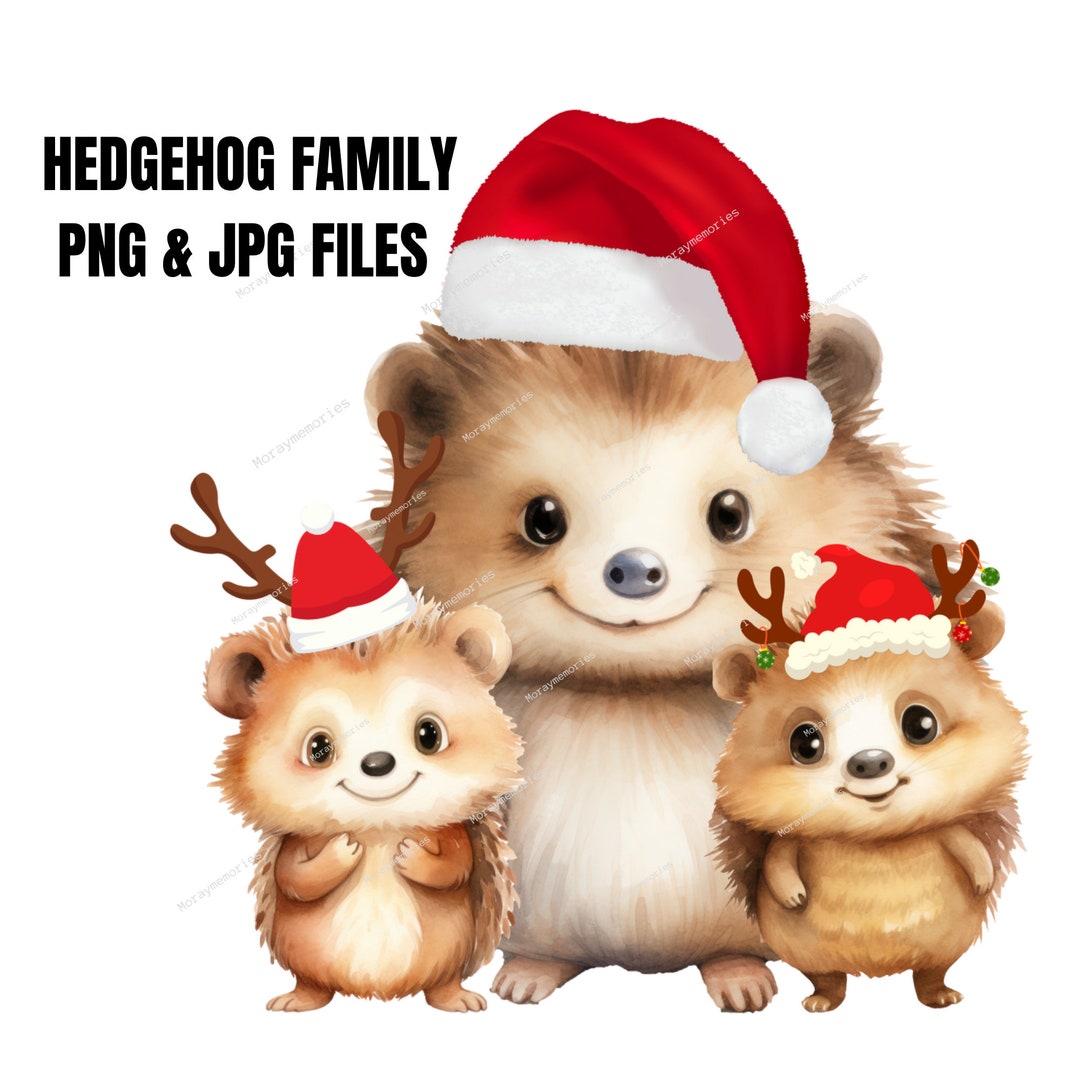 Watercolor Christmas Hedgehog Clipart High Quality PNG and Jpgs ...