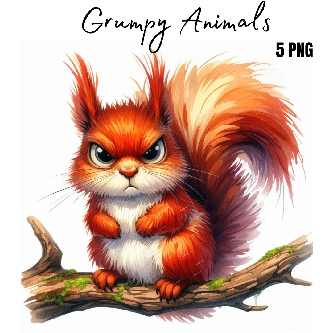 Funny Grumpy Animals Clipart, High Quality Transparent Pngs, Instant ...