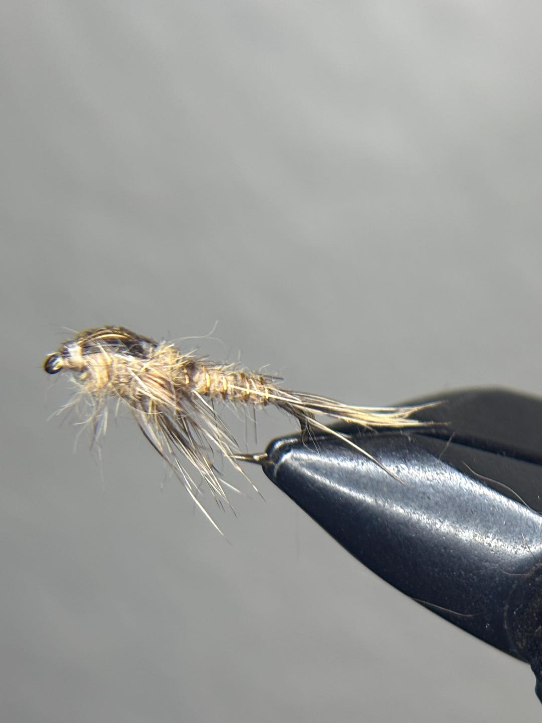 Classic March Brown Nymph 3 Pack - Etsy