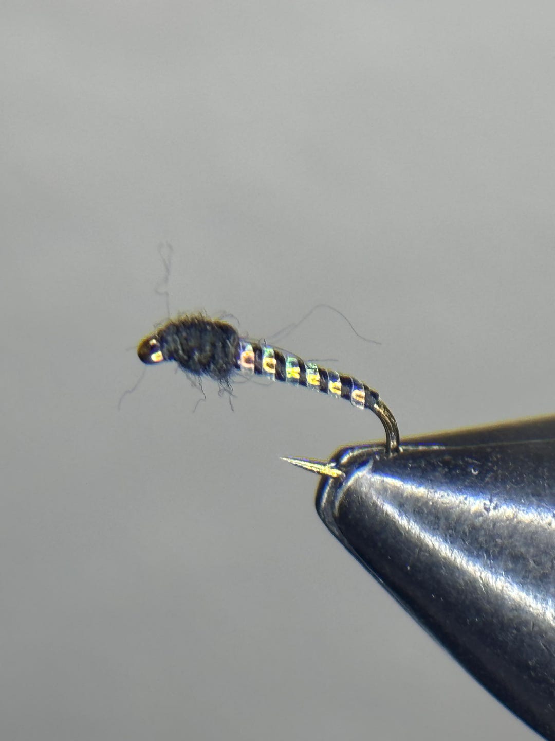 Flash Midge Nymph 3 Pack - Etsy