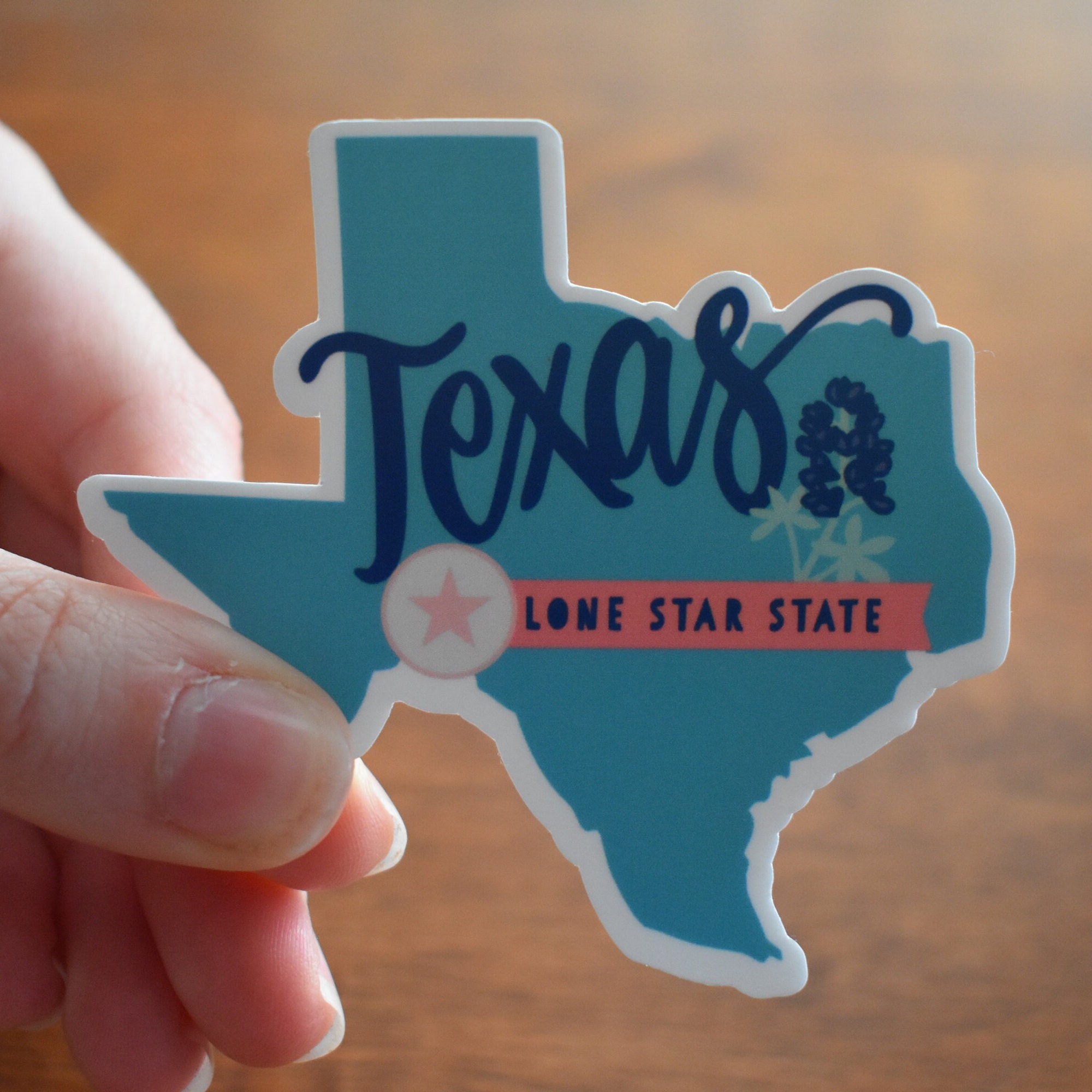 Texas Sticker, Texas Decal, Texas Sticker Set, Laptop Sticker ...