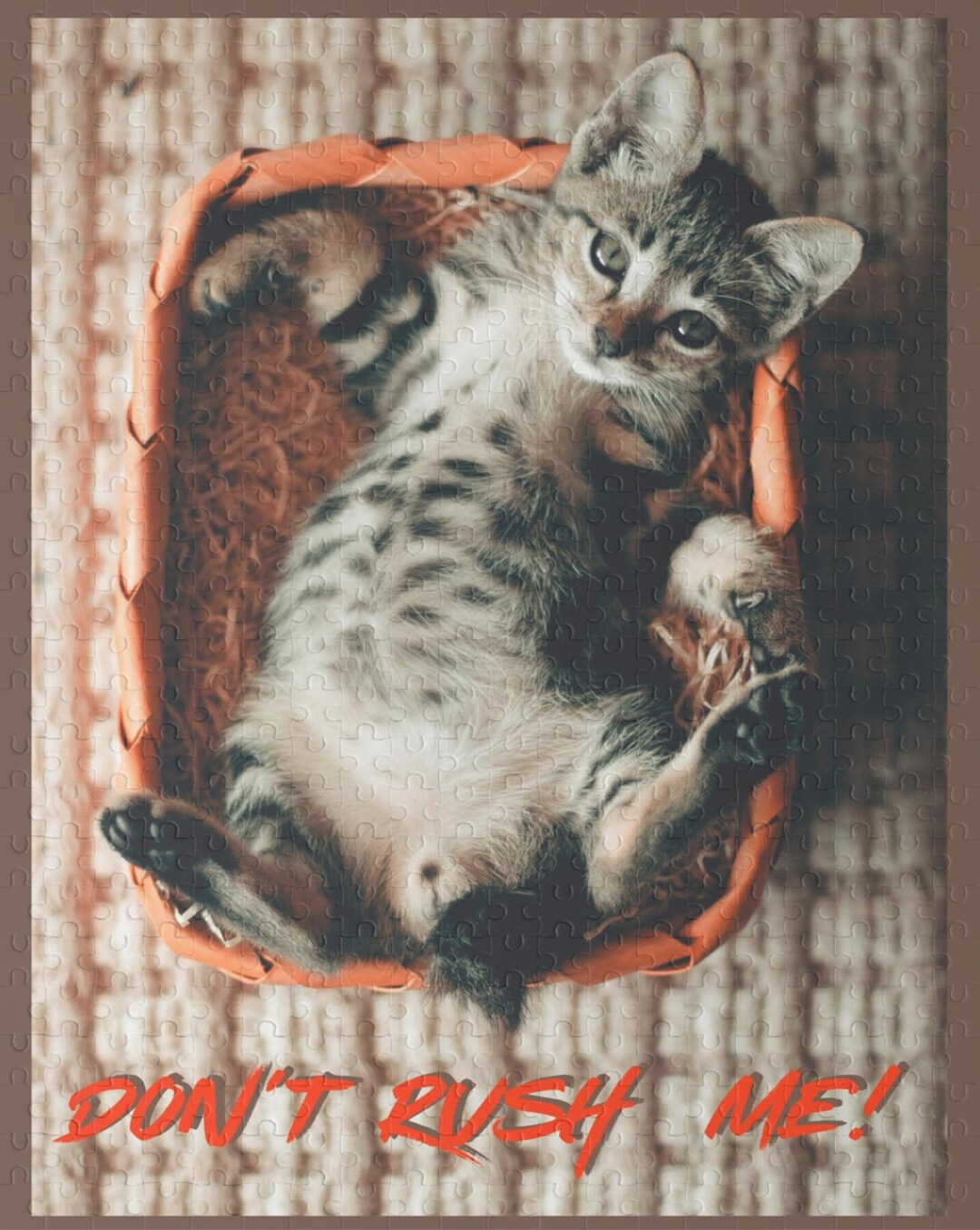 Don't Rush Me, Companion Puzzle, Pet Photo Puzzle, Pink Graffiti Poster ...