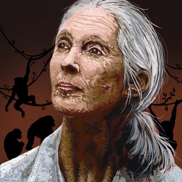 Jane Goodall Quotes - Etsy