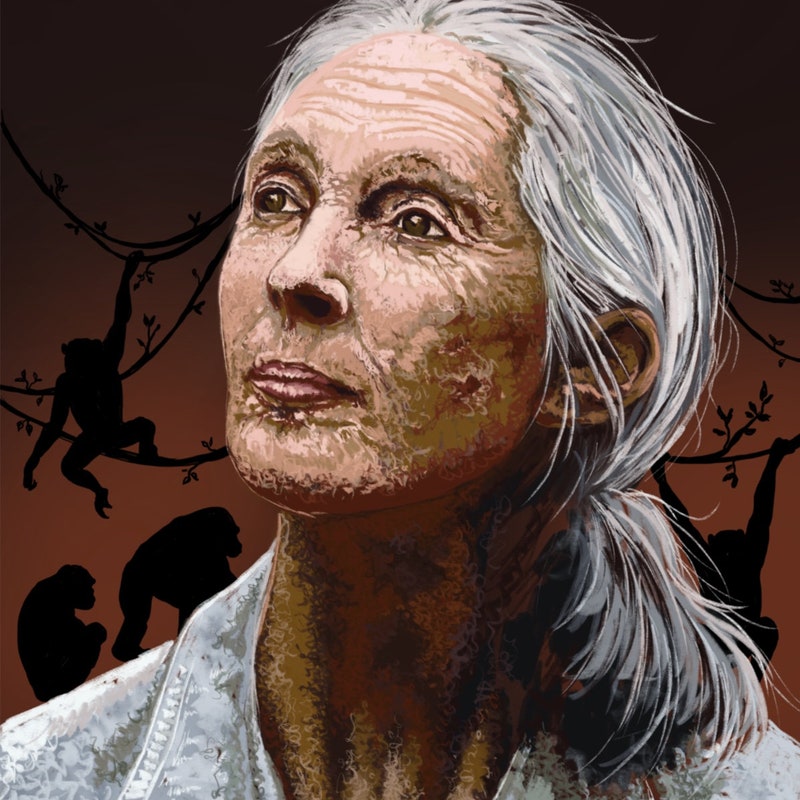 Jane Goodall Quotes - Etsy