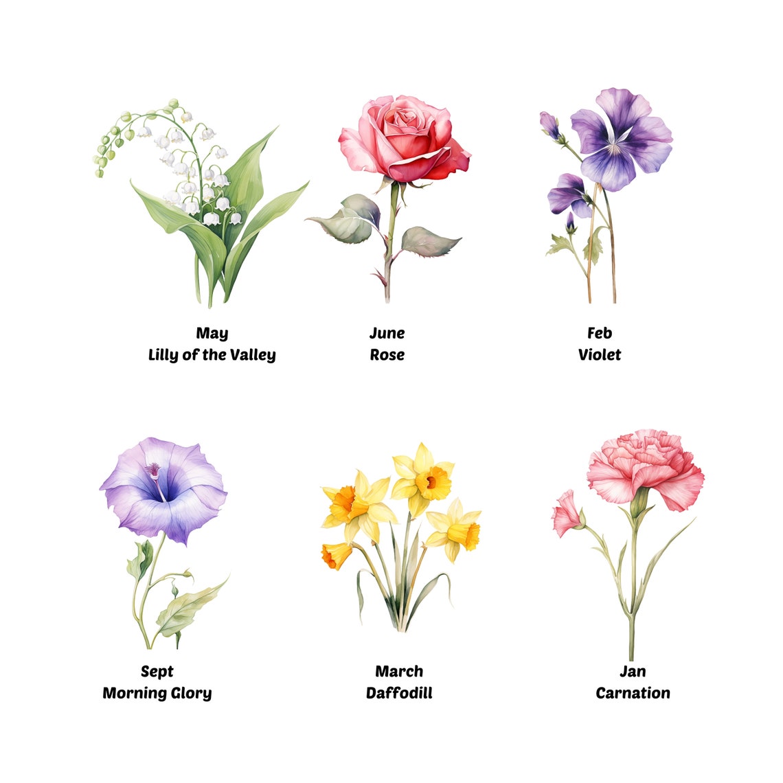 Birth Month Flower Clipart PNG Birth Flower Clipart Birth Flower ...