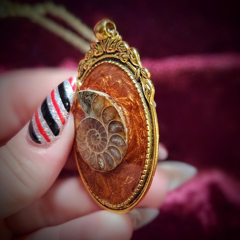 Ammonite Fossil Pendant Necklace Handmade - Etsy