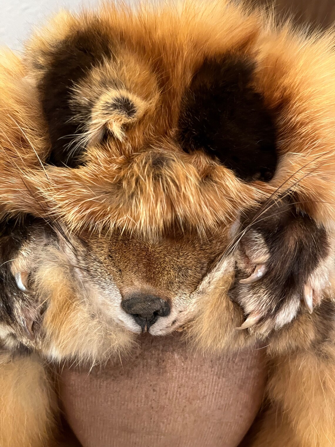 1970s Rat Works, Alaska skin Head Labels, Red Fox, Hat - Etsy