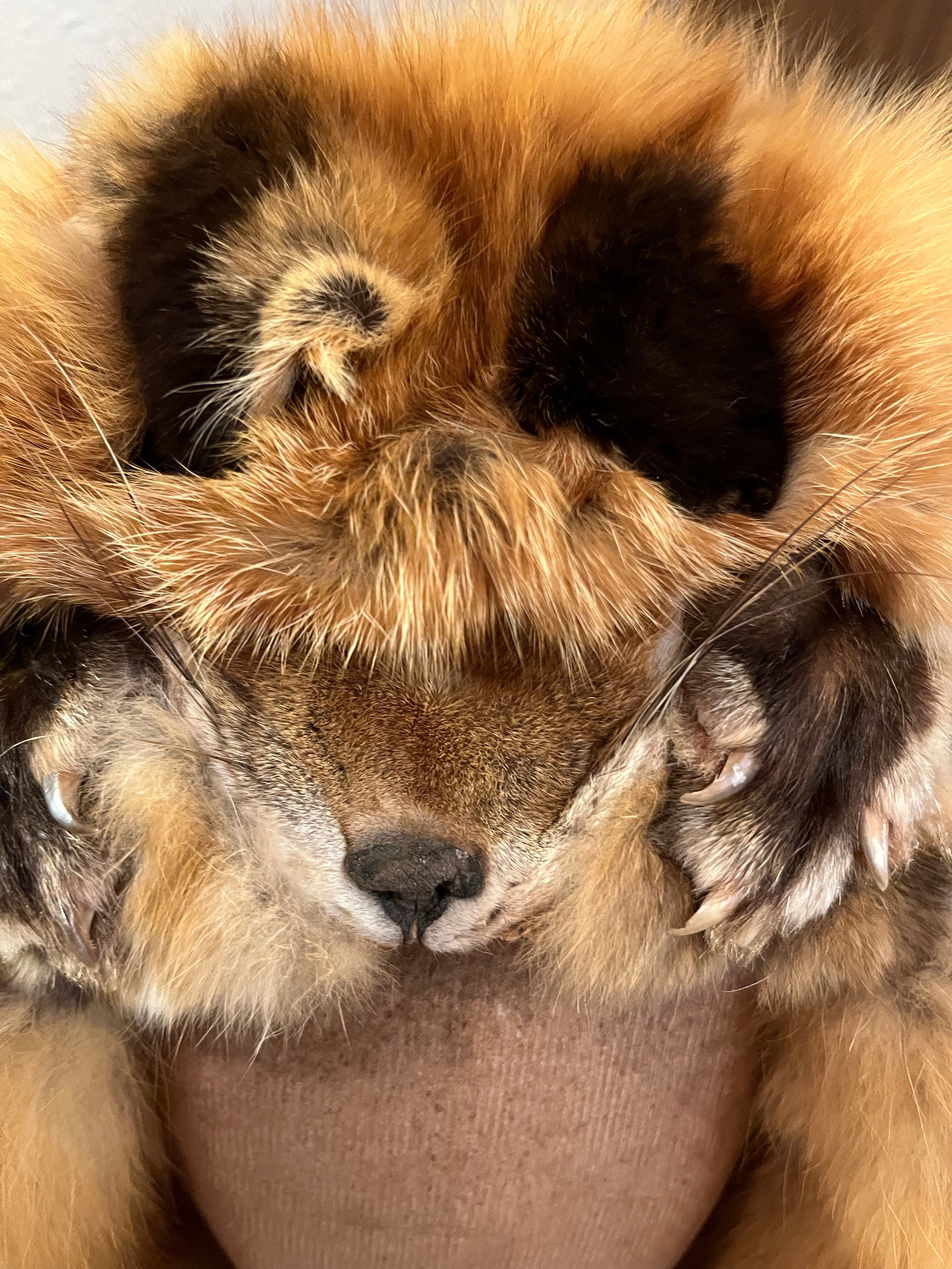 70’s Rat Works, Alaska; ‘skin Head’ Labels, Red Fox, Hat - Etsy UK