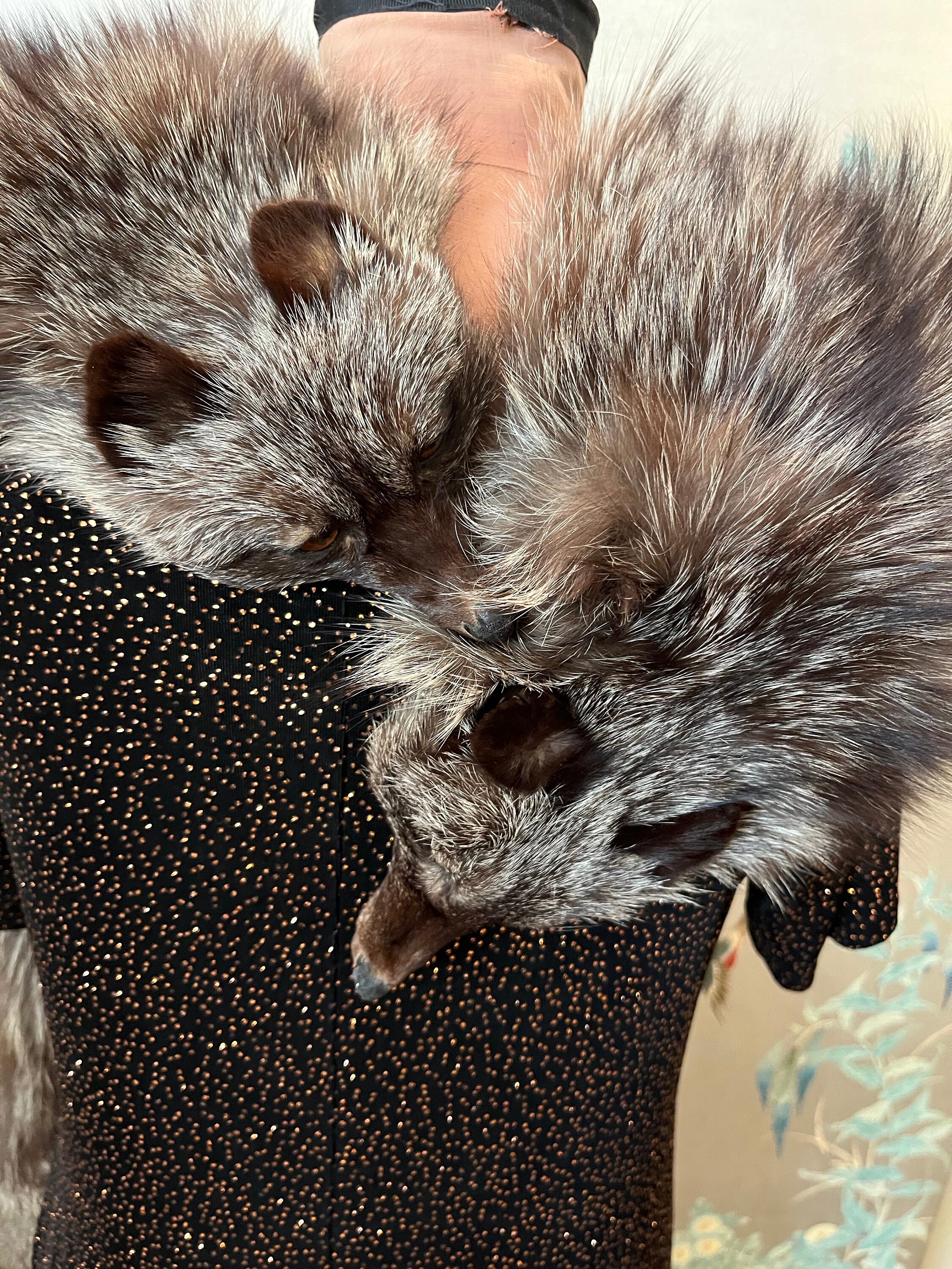 1940 Vintage, Silver Fox, Full Body, Stole; Two Separate Pieces. - Etsy