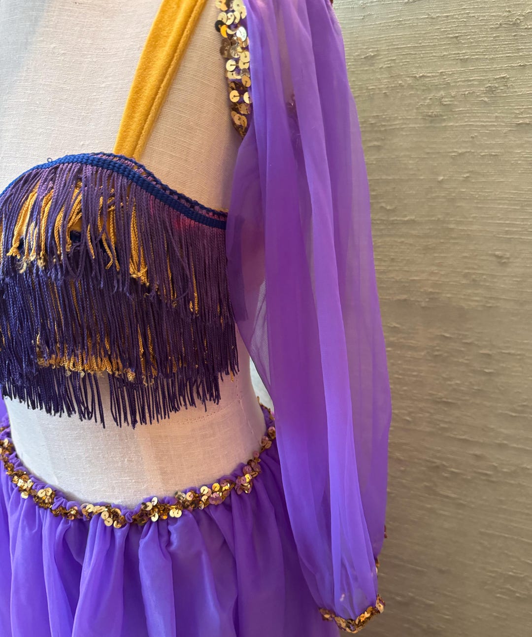 Arabian Dance Costume, 4 Piece Set in Gold and Purple - Etsy