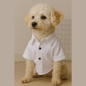 Dog Shirt Sewing Pattern | Pdf Sewing Pattern | Dog Pattern | Dog ...