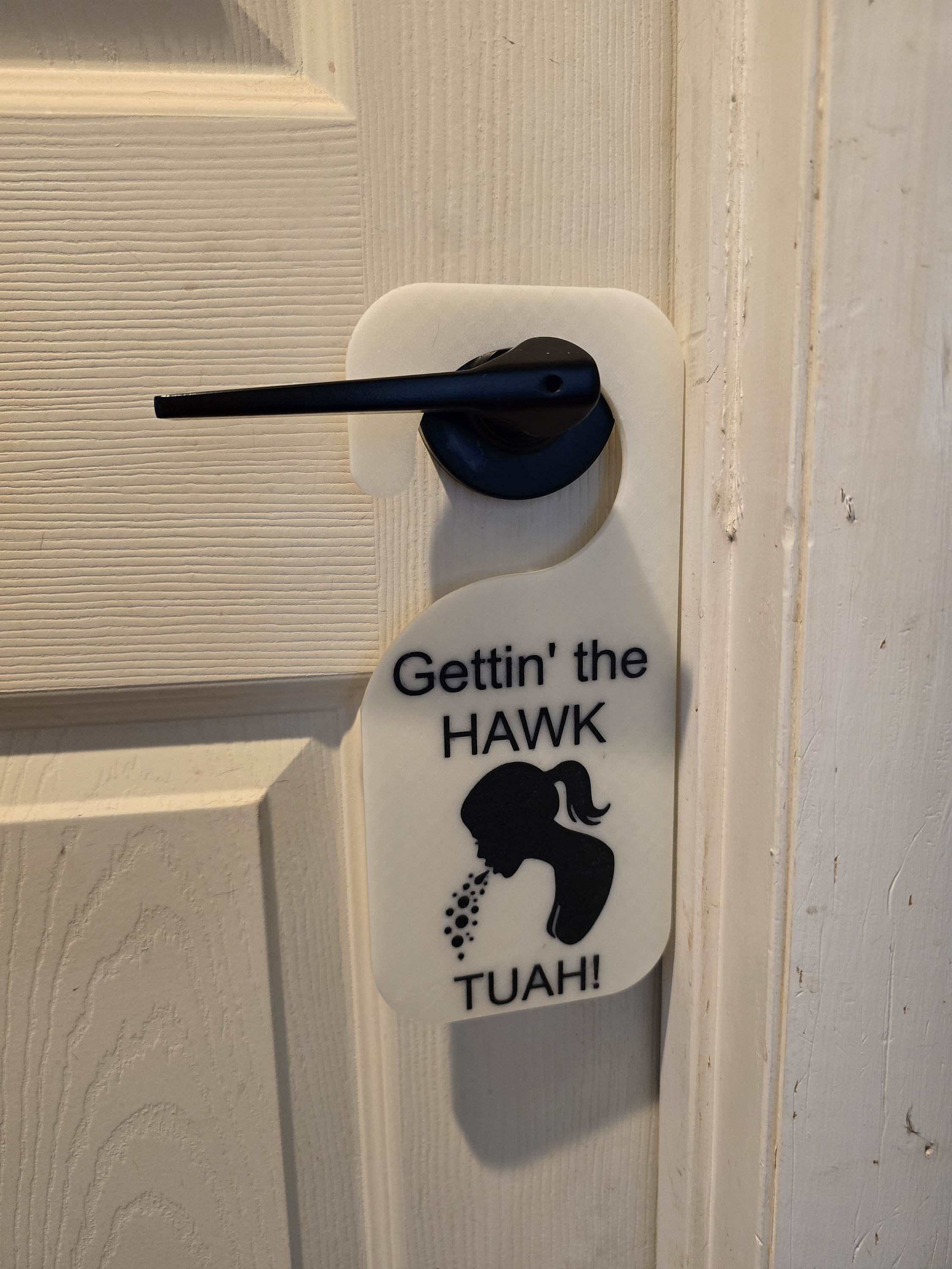Hawk Tuah Door Sign STL FILE ONLY - Etsy