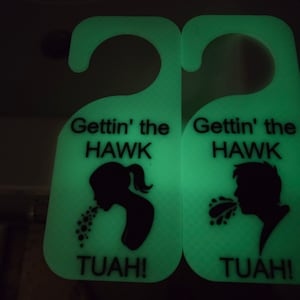 Hawk Tuah Door Sign STL FILE ONLY - Etsy