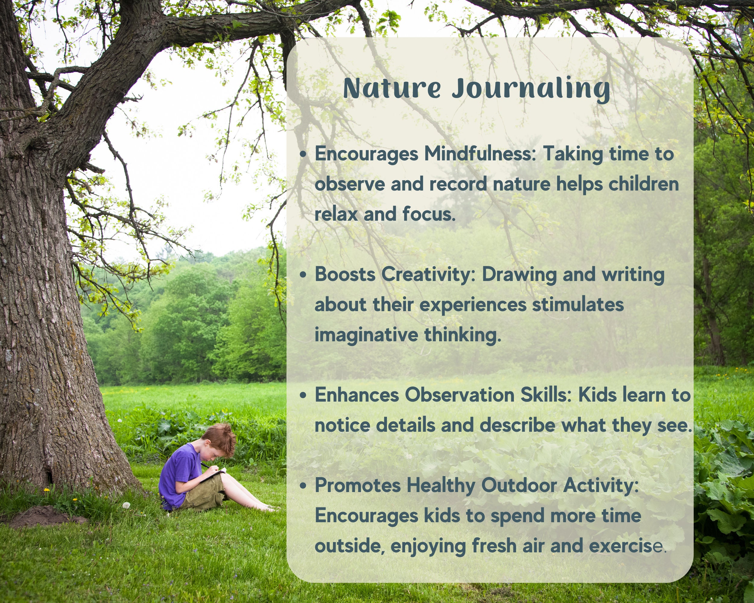 Personalized Kids Nature Journal, Kids Sketch Notebook, Charlotte Mason ...