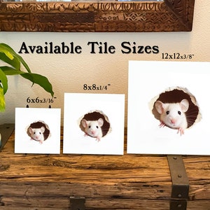 Mouse Appearing to Peer Out of Hole From Tile. Colorful Art on a 6x6 ...