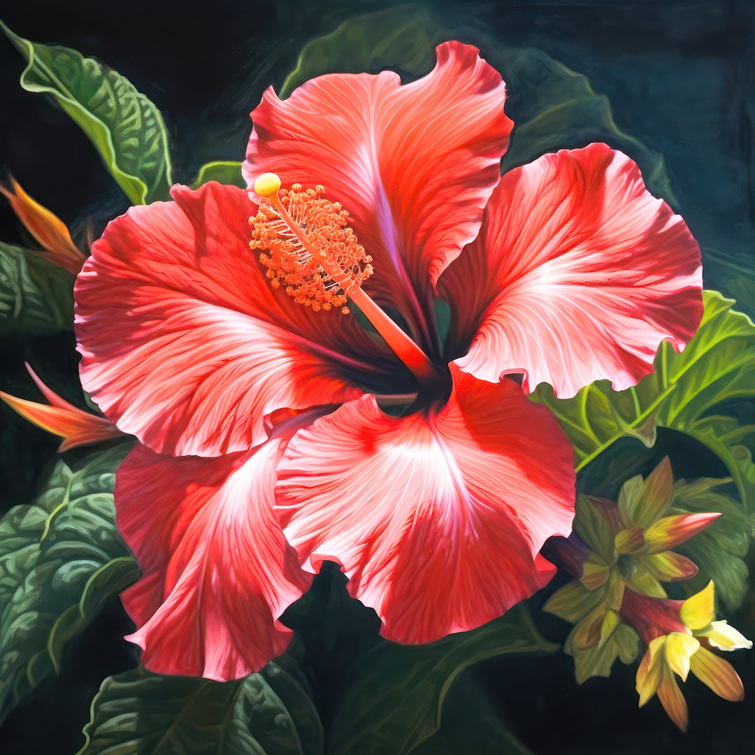 Hawaiian Red Hibiscus Art on a 6x6, 8x8 (actual 7.8) or 12x12 (actual ...