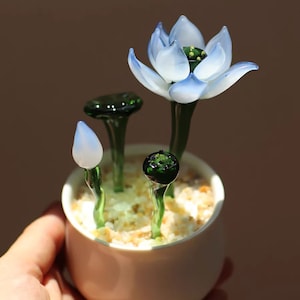 Lotus Glass Potted Plants, Mini Glass Plants, Handmade Glass Art, Glass ...