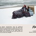Eternal Sunshine of the Spotless Mind Digital Poster - Etsy
