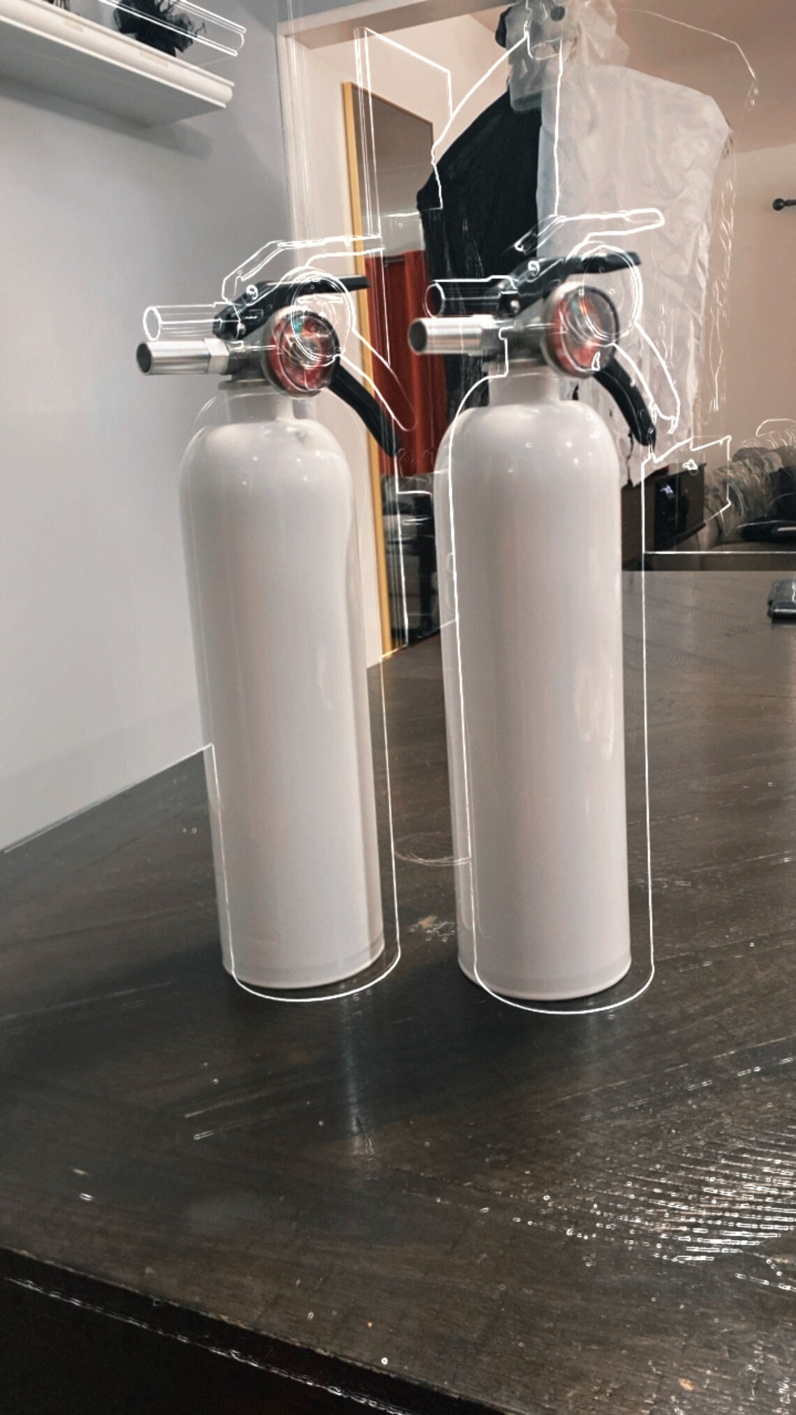 Gender Reveal Extinguisher - Etsy