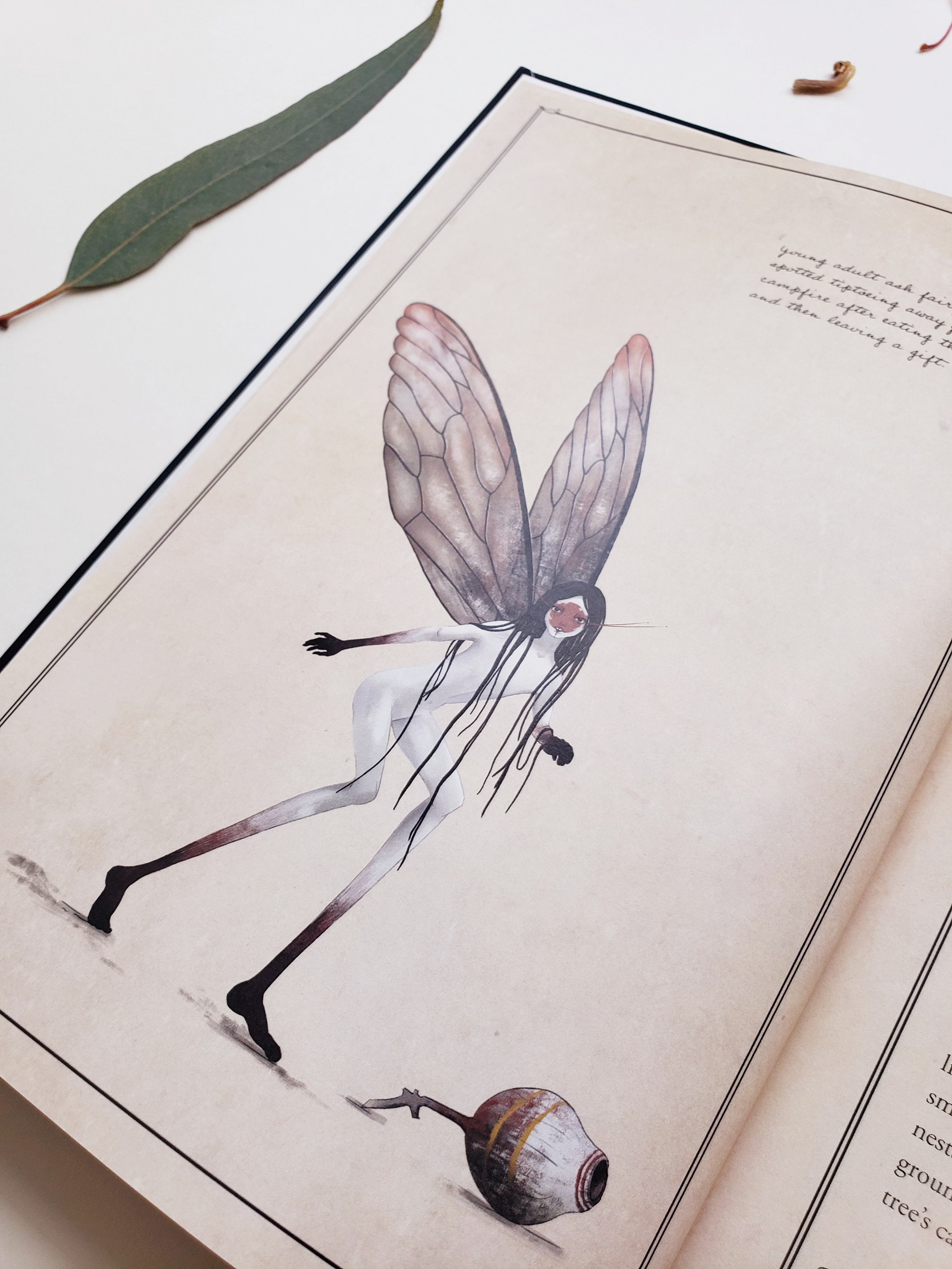 BOOK - A Field Guide to Australian Fairies - Etsy Australia