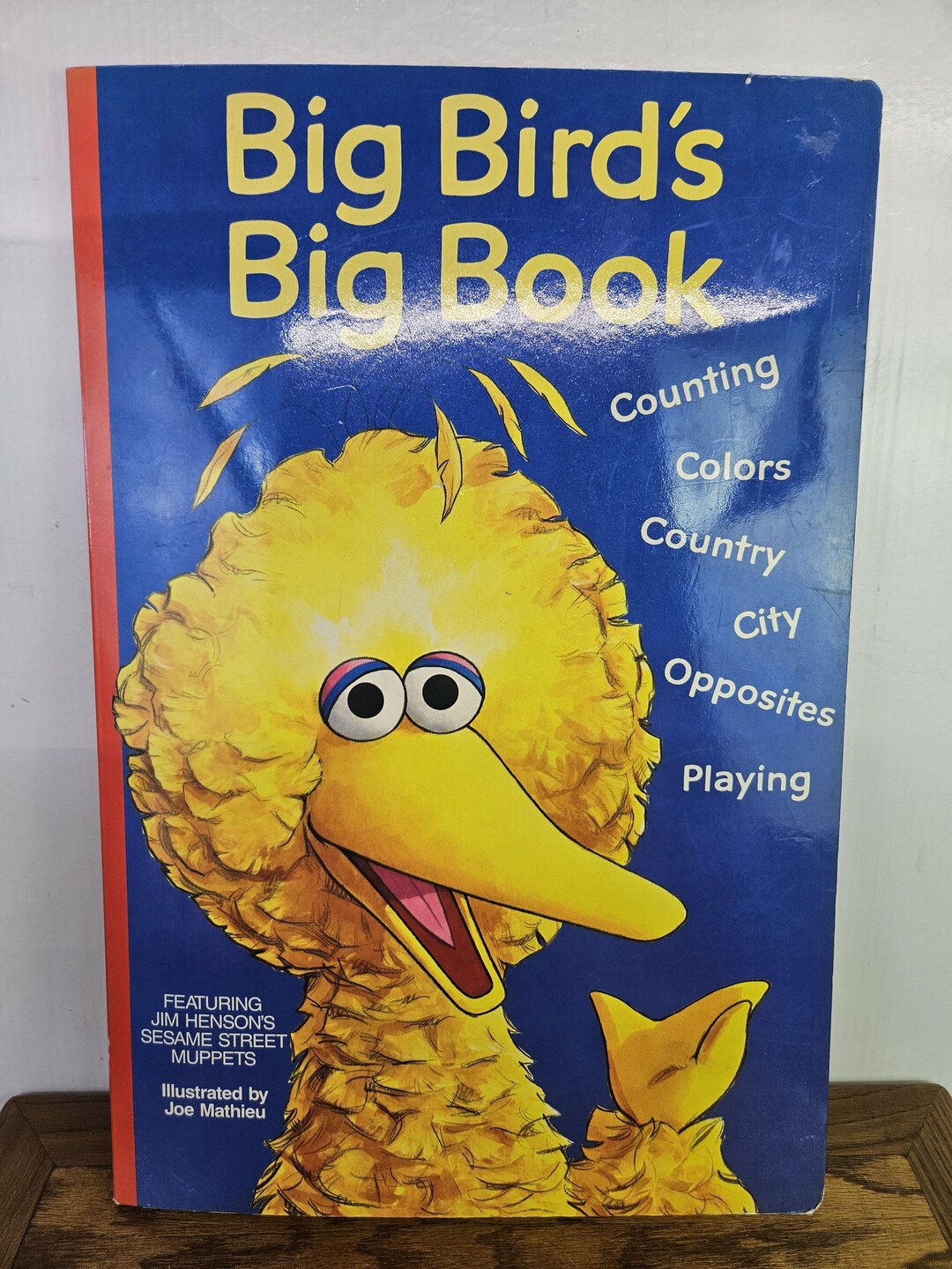 Big Birds Big Book Sesame Street Vintage 1987 Counting Colors Kids Art ...