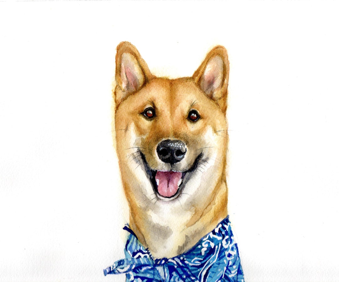 Custom Hand Painted of Shiba, Pet Portrait Hand Painted, Pet Portrait ...