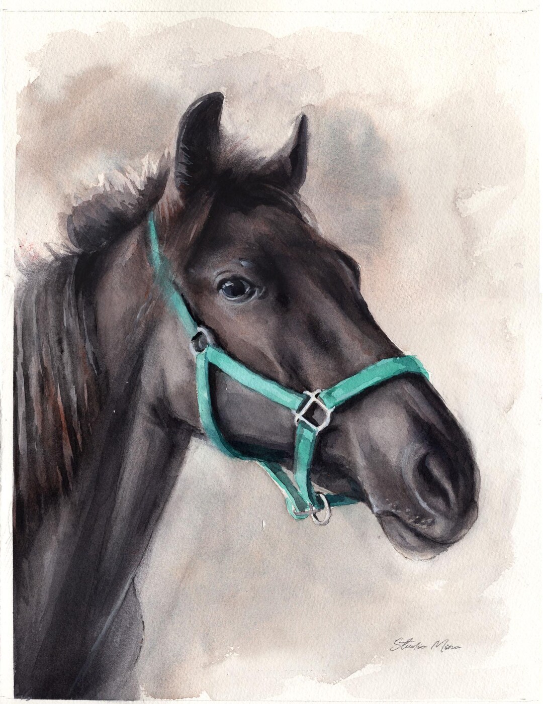 Black Morgan Filly Watercolor Portrait – Custom Horse Painting From ...