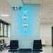 DNA Double Helix Neon Sign, DNA Art, Wall Decor Neon Sign, Biology ...