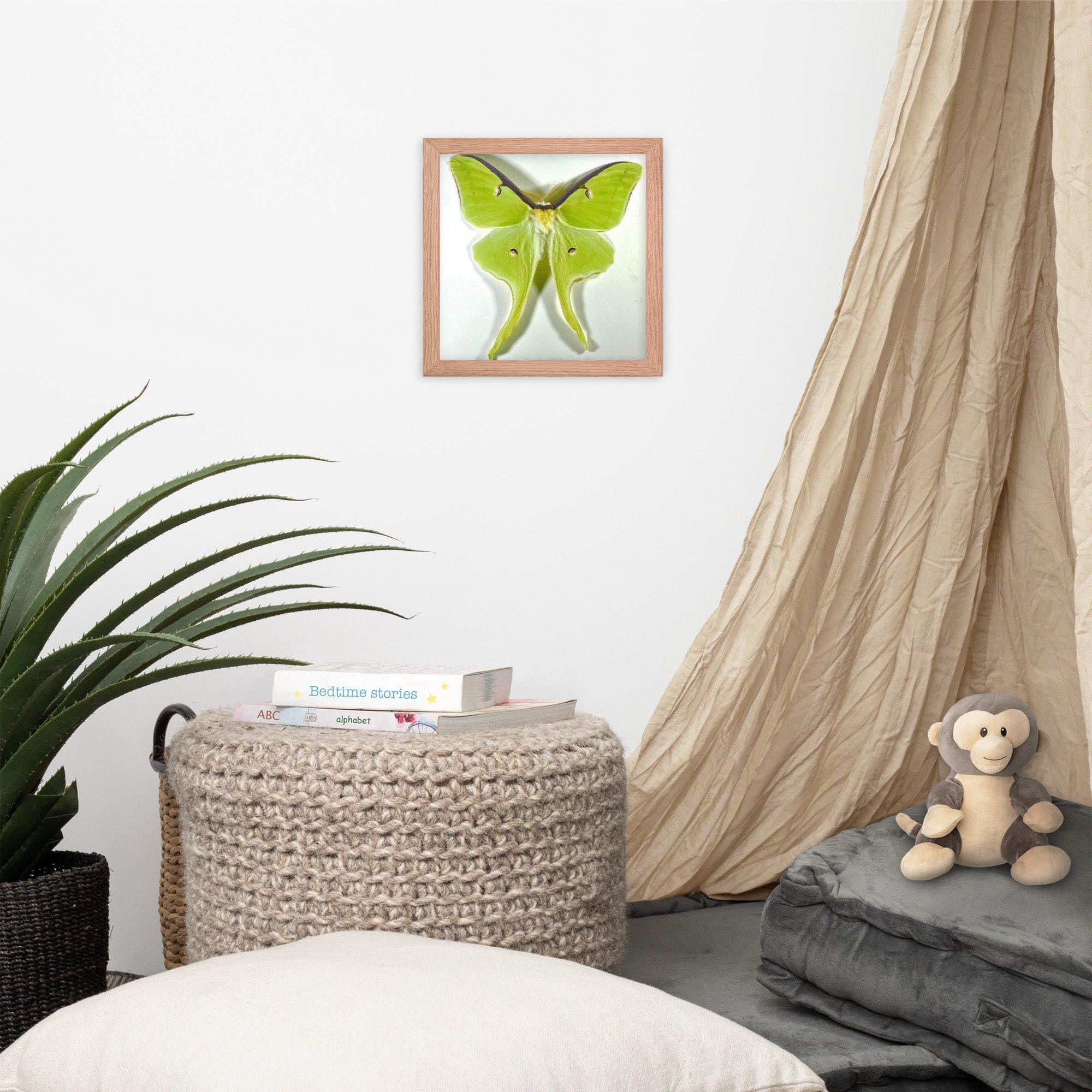 Framed Luna Moth Concept Art Wall Decor - Etsy
