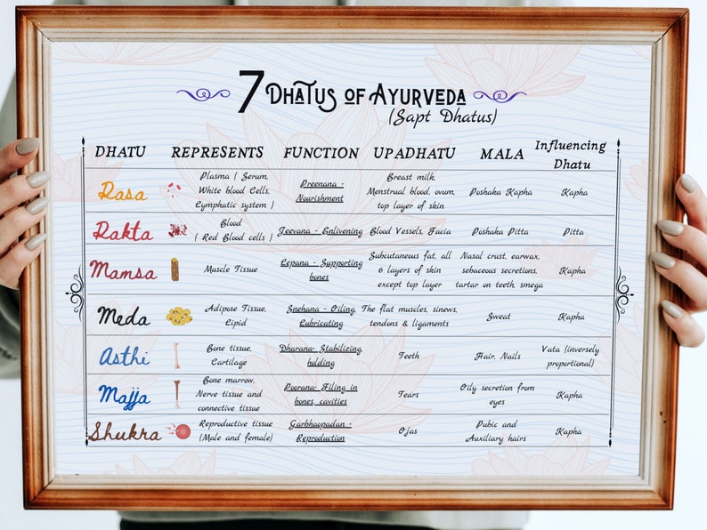 Ayurveda Sapt Dhatu Chart Poster: Holistic Health Guide (digital ...