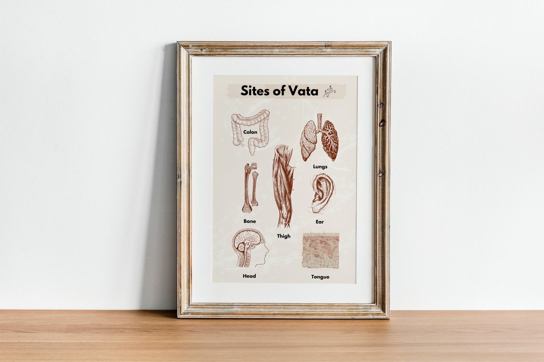 Ayurveda Vata Poster, Sites of Vata, Ayurveda Posters, Ayurveda Digital ...