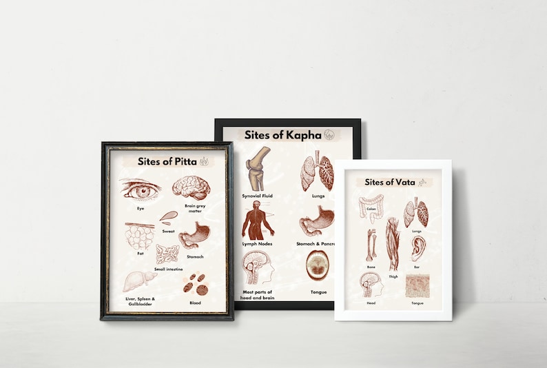 Ayurveda Dosha Sites Poster Set: Vata, Pitta, Kapha (digital Download ...
