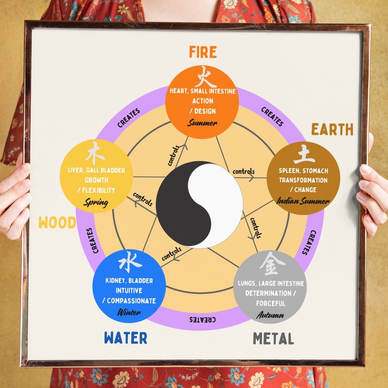 TCM Five Elements Poster: Acupuncture Chart (digital Download) - Etsy
