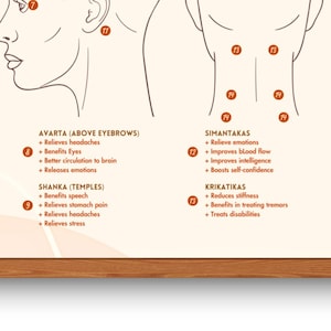 Ayurveda Marma Point Poster and Book Insert, Ayurveda Energy Points ...